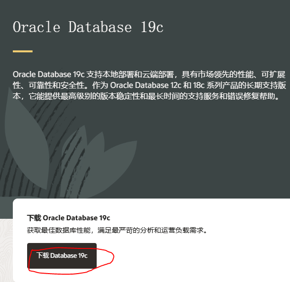 Oracle数据库的下载以及可视化工具plsql Developer的配置 Tia的学习笔记